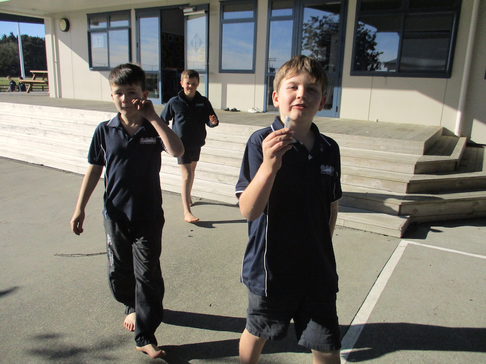 Gallery – South Mākirikiri School