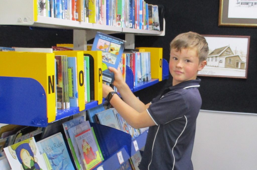 Gallery – South Mākirikiri School