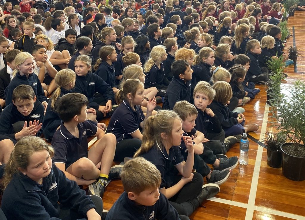 Gallery – South Mākirikiri School